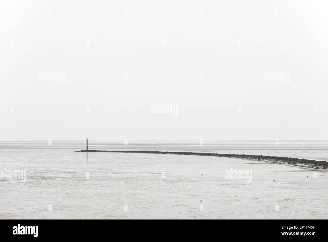 Stone groyne as coastal protection, Wadden Sea at low tide, North Sea ...