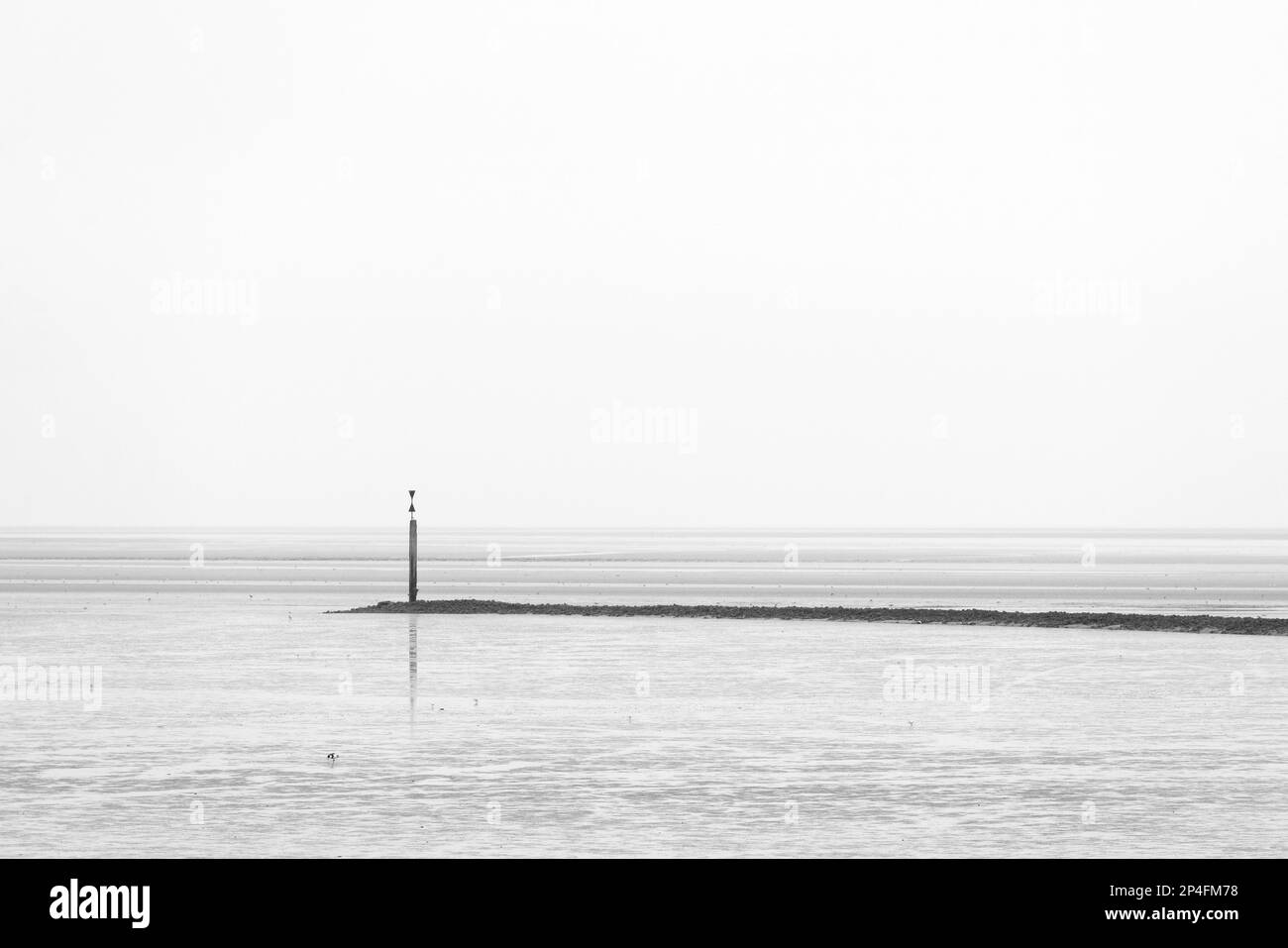 Stone groyne as coastal protection, Wadden Sea at low tide, black and ...