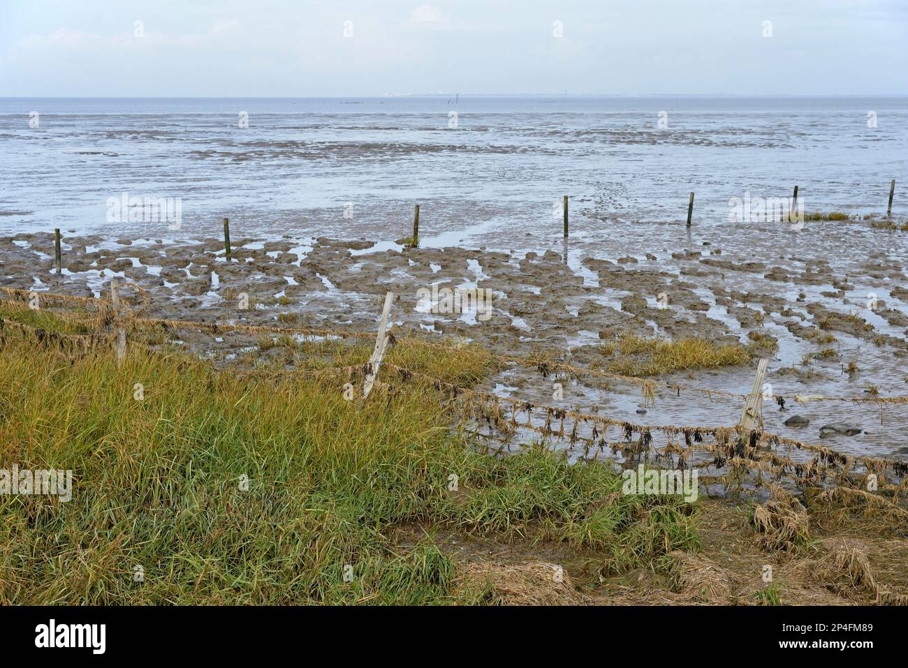 View over the salt marsh area at the eastern harbour of Norddeich ...