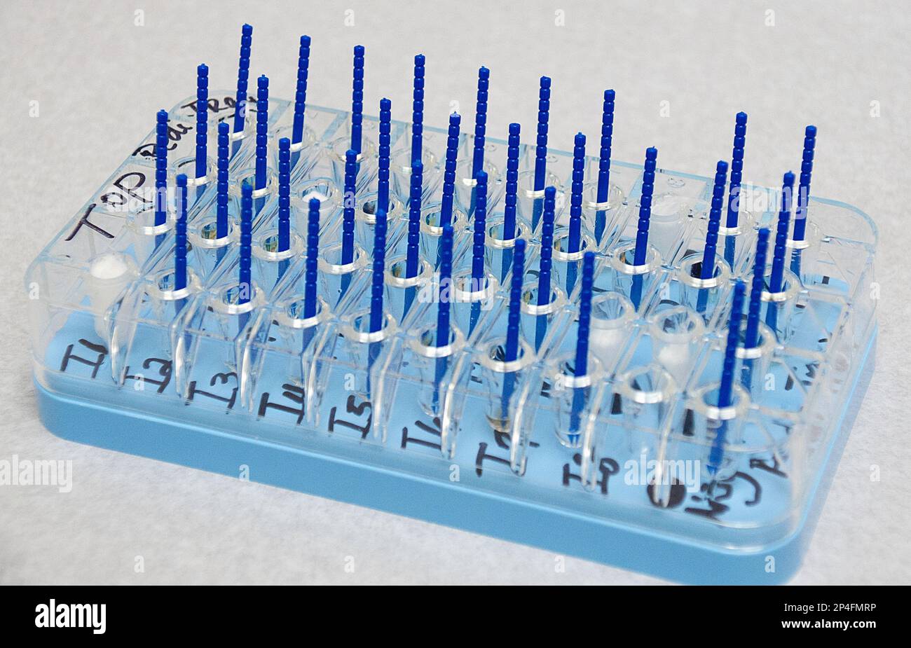 In this May 8, 2014 photo, a pediatric tray of applicators used to ...