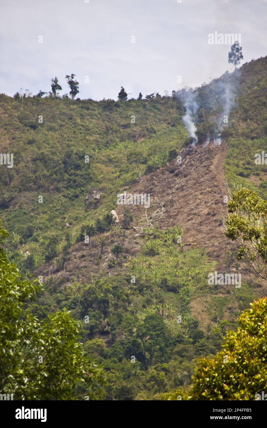 Forest fire in madagascar hi-res stock photography and images - Alamy