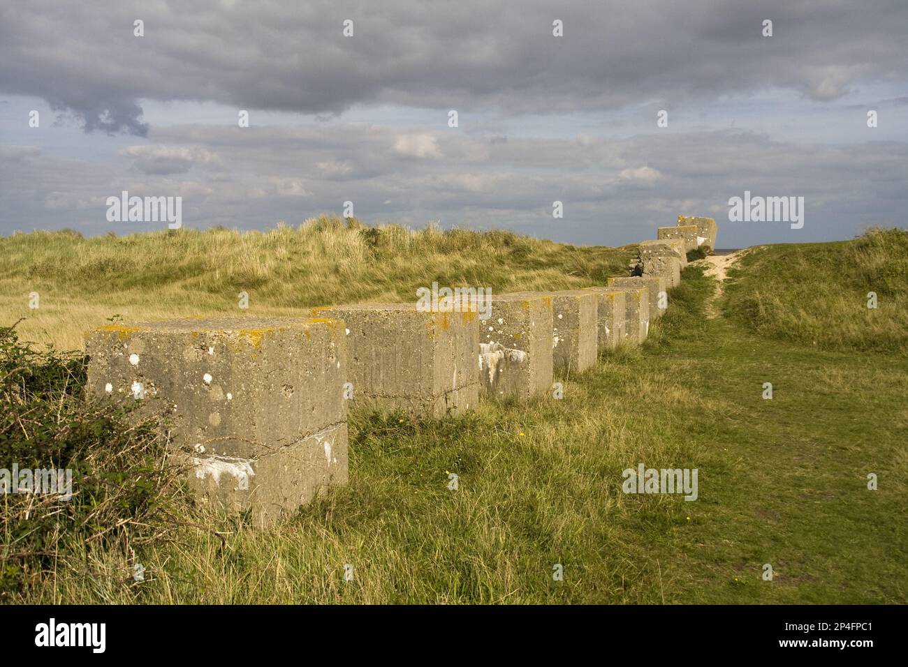 Suffolk coast at Minsmere, World War Two concrete blocks Stock Photo ...