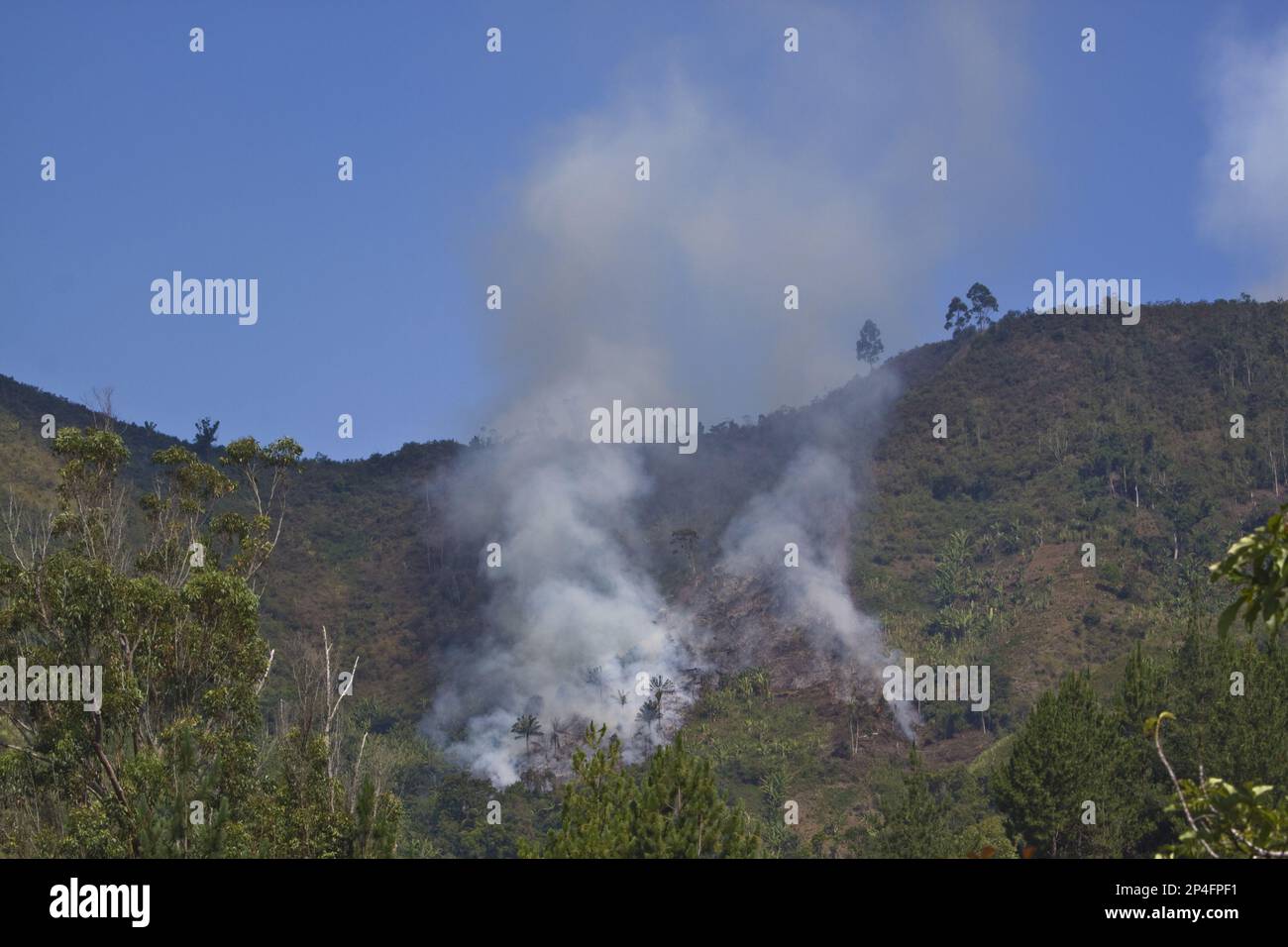 Burning Forest, Madagascar Stock Photo - Alamy