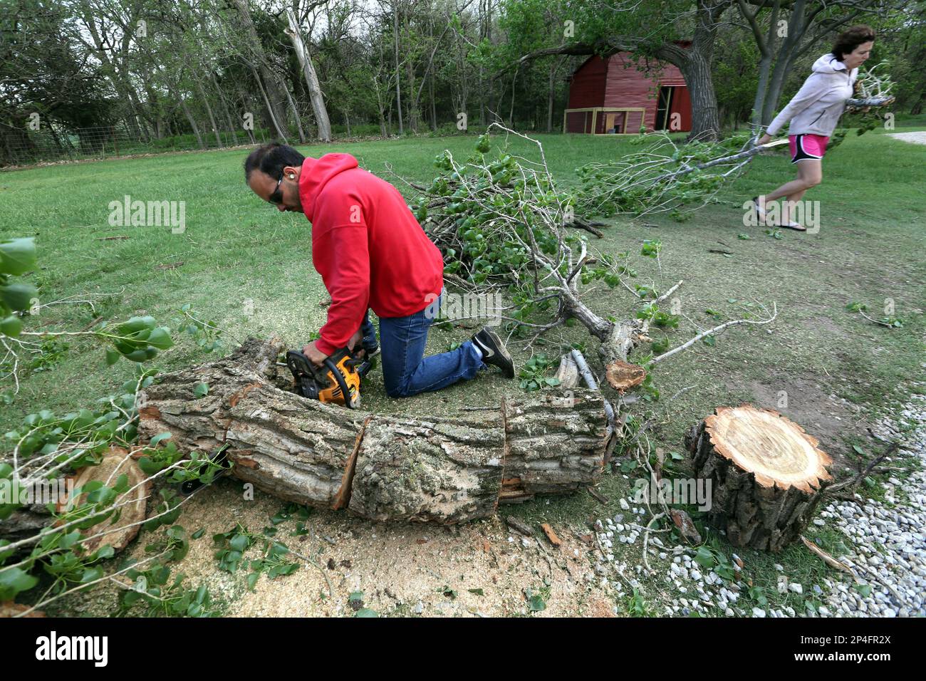 Chris Stoppel cuts up a tree trunk as his wife Sandra Stoppel drags ...