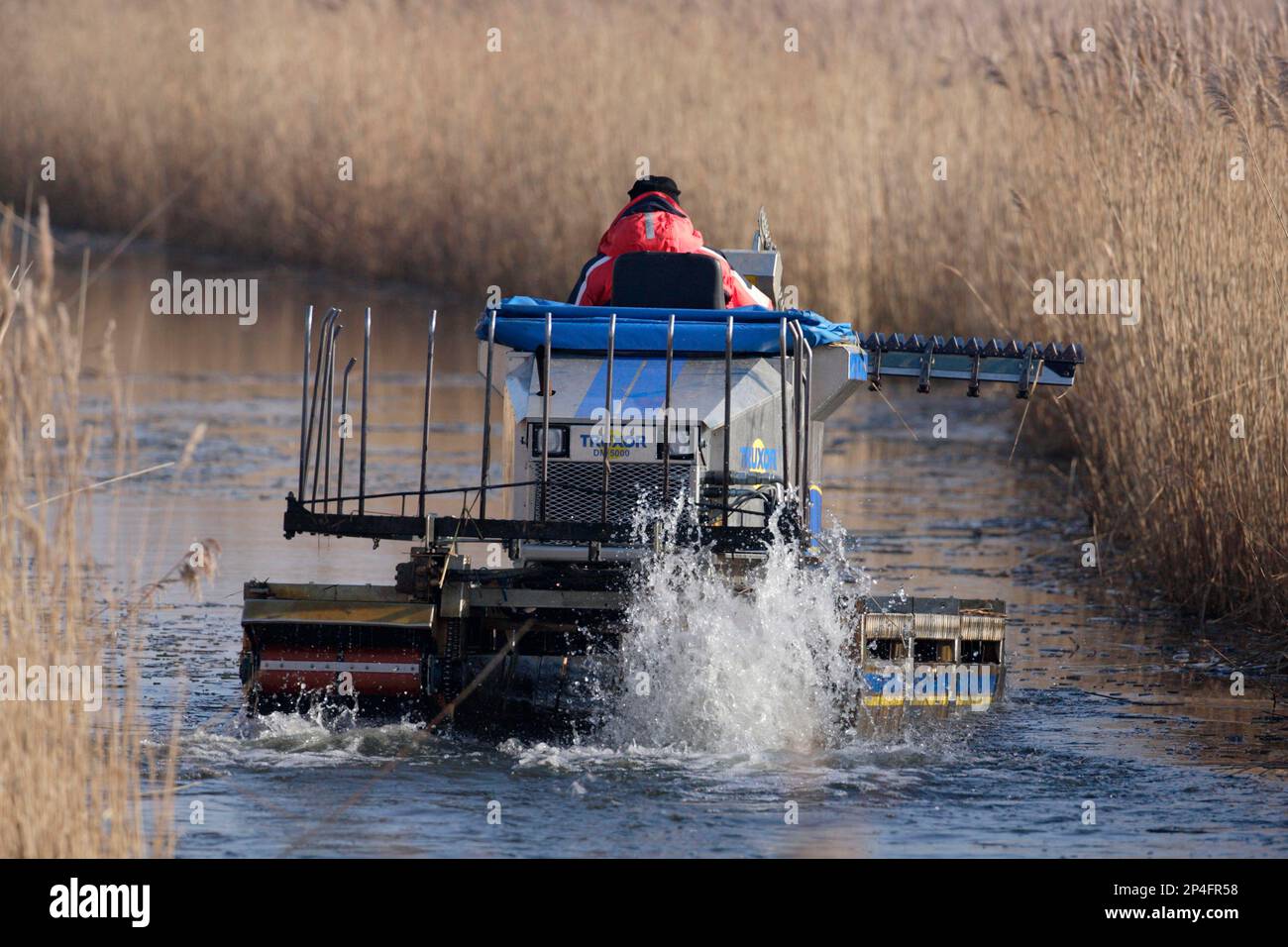 Truxor DM 5000 amphibious machine controlling reed growth by cutting ...