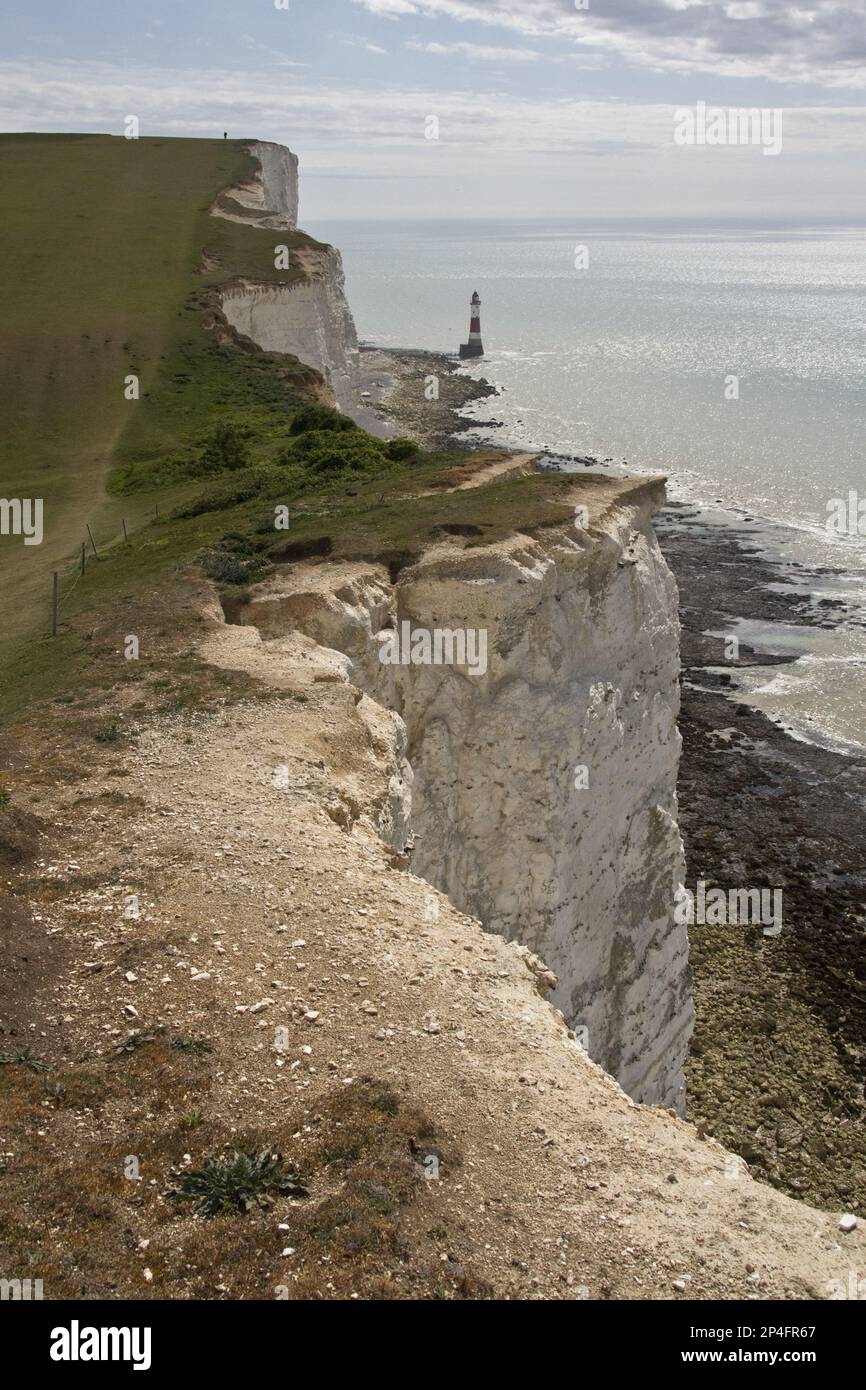 Erosion of the white chalk cliffs at Beachy Head, East Sussex Stock ...
