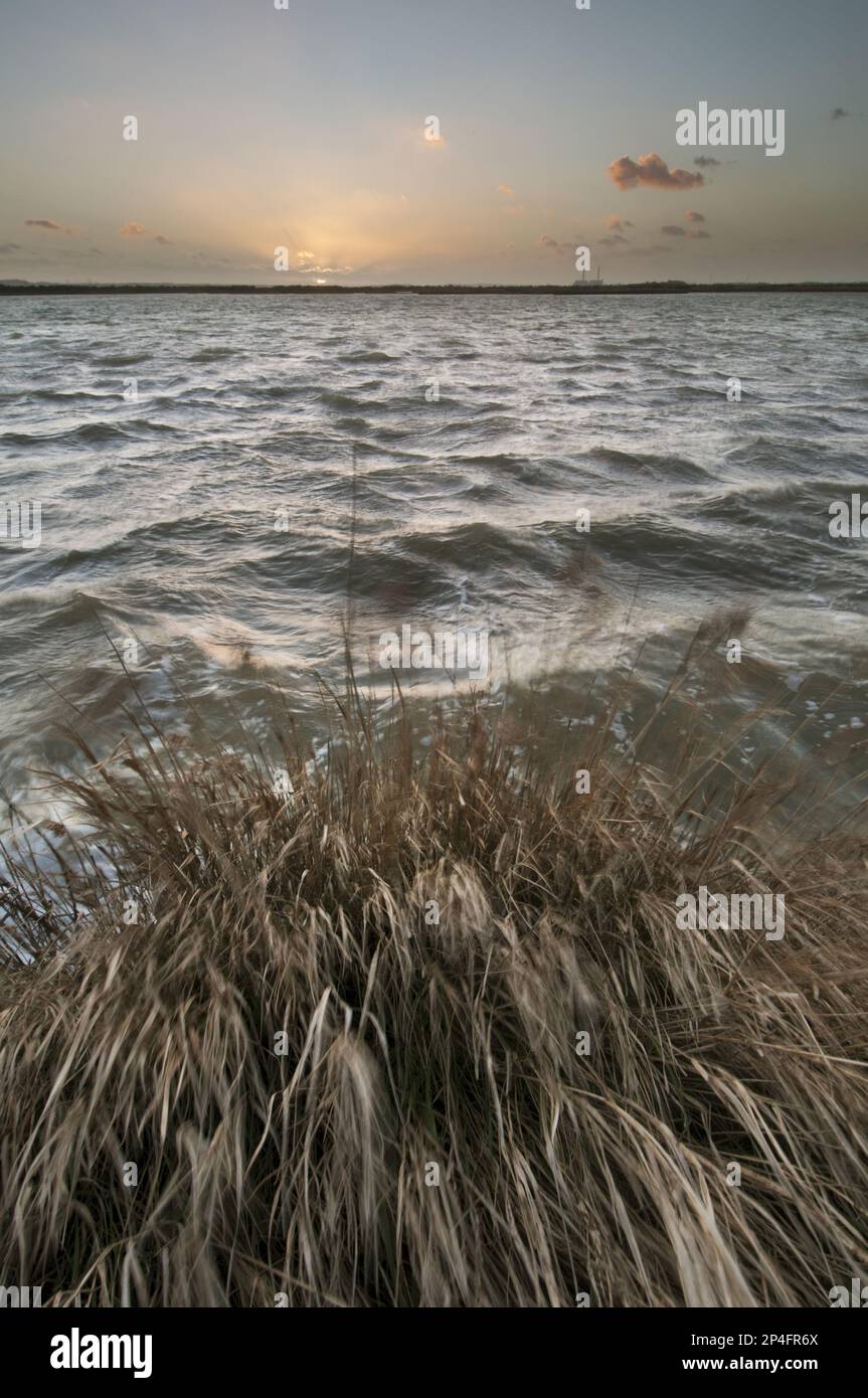 Estuary habitat in stormy weather at sunset, Cliffe Pools RSPB Reserve ...