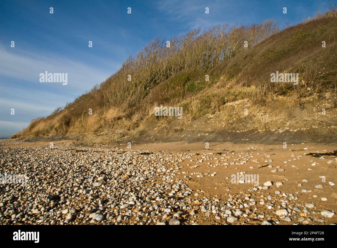 Coastal erosion, headland with foreshore erosion, Bran Point, Osmington ...