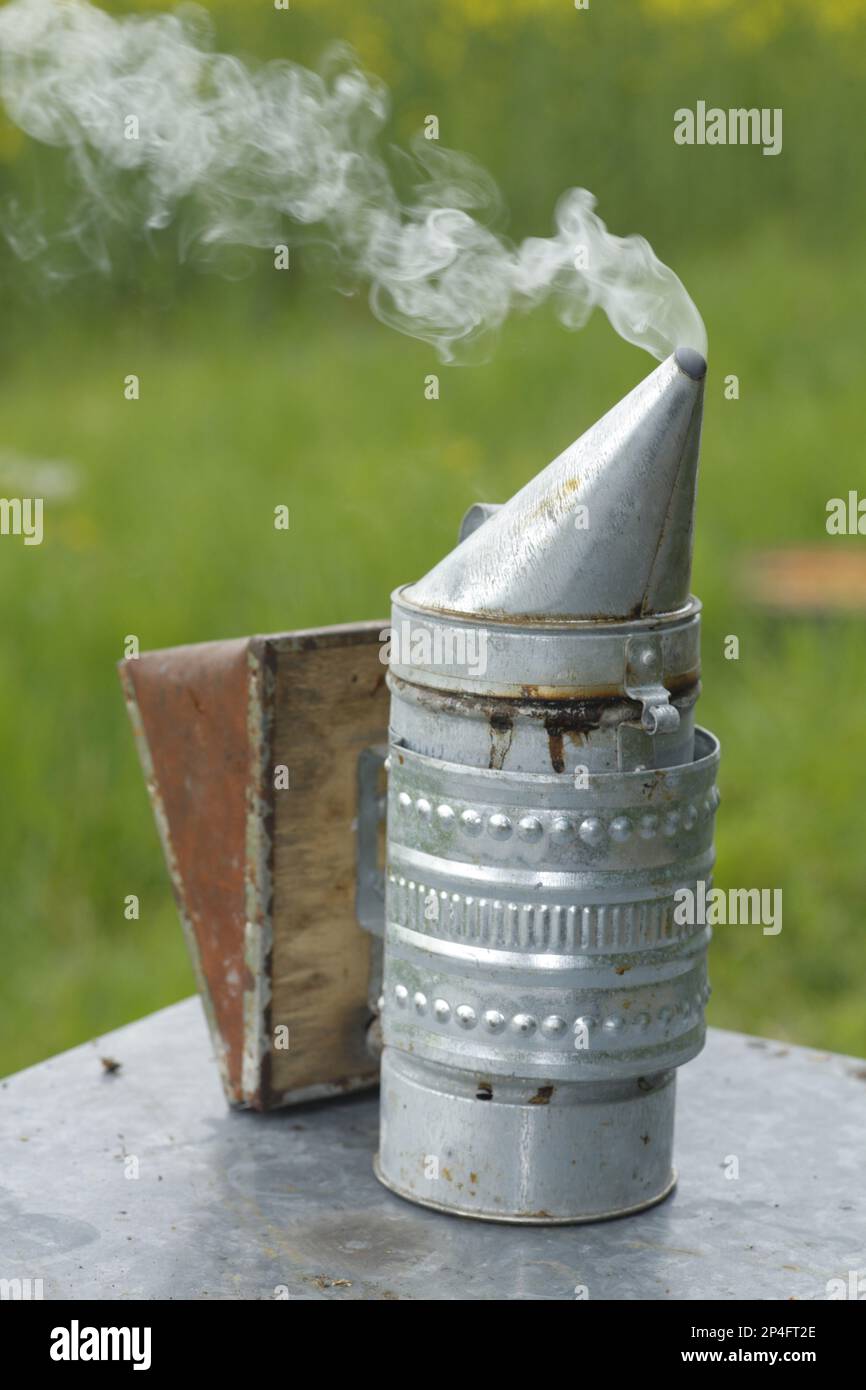 Professional smoker hi-res stock photography and images - Alamy