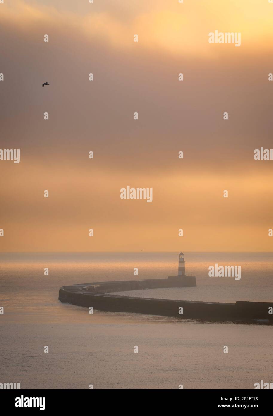 Seaham lighthouse on foggy winter hi-res stock photography and images ...