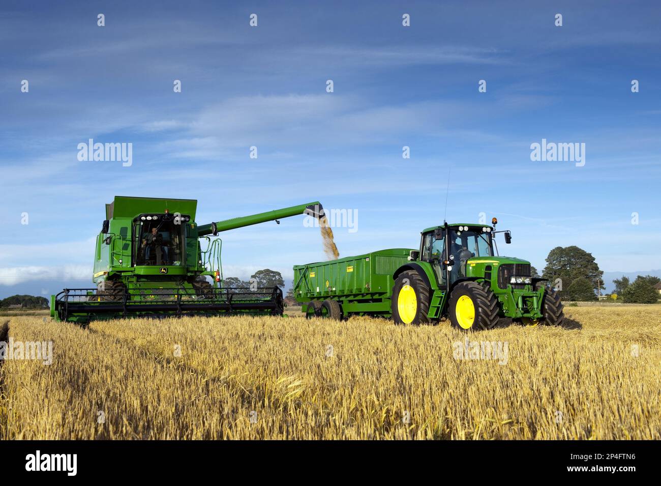 John Deere combine harvester harvesting barley (Hordeum vulgare ...
