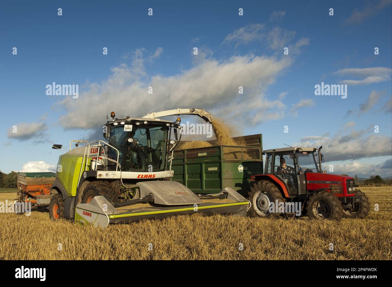 Claas forage harvester unloading into a tractor and trailer, making ...