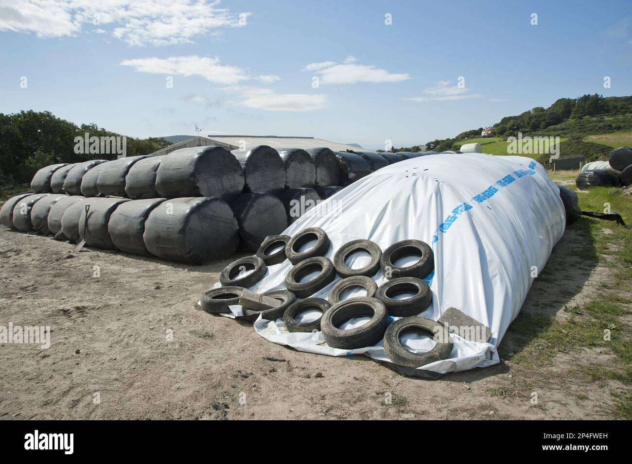 Silage bag hi-res stock photography and images - Alamy