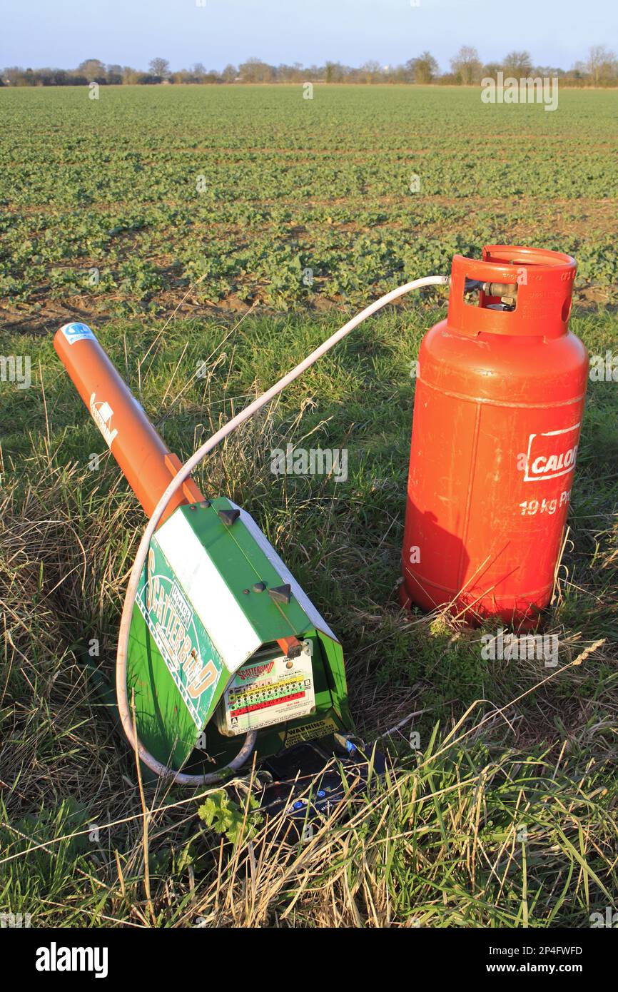 Gas-gun, gas powered bird scarer at edge of arable field, Bacton ...
