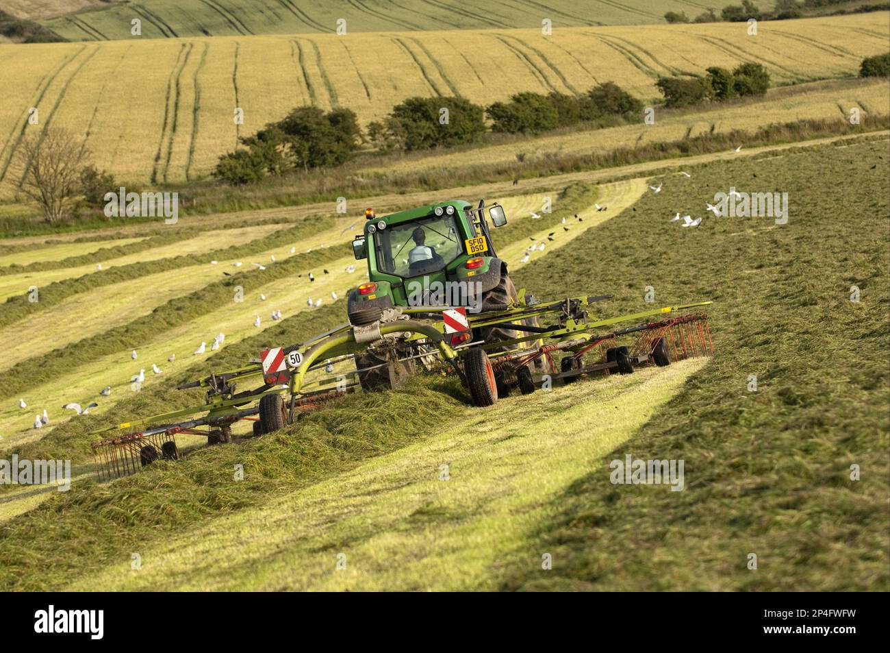 John Deere tractor with tedder, rowing up grass in preparation for ...