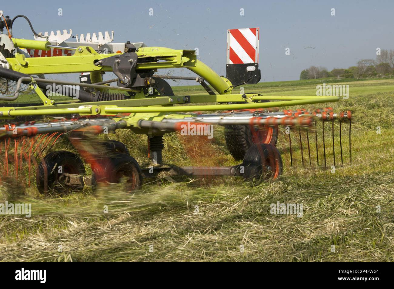 Claas grass rake, rowing grass in a silage field, Northumberland ...