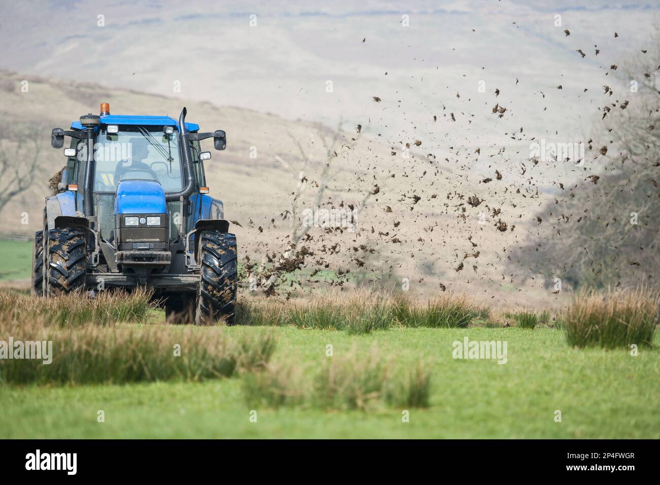 New Holland TS115 tractor with muckspreader, spreading farmyard manure ...