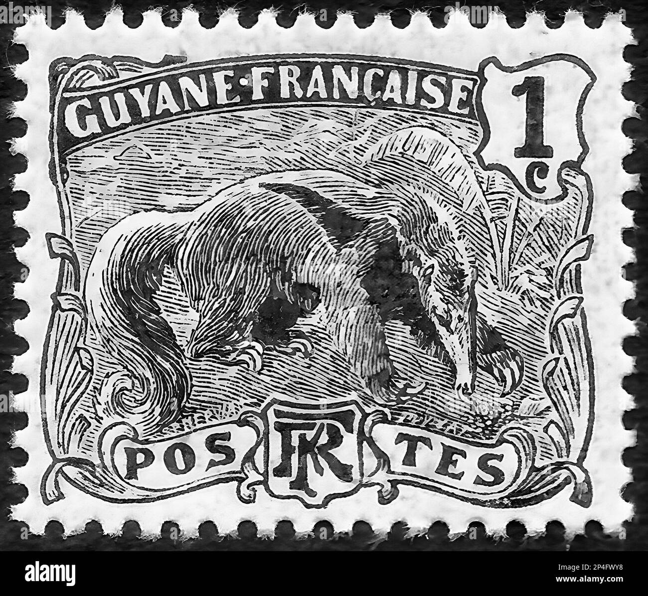 Guyana postage stamp hi-res stock photography and images - Alamy