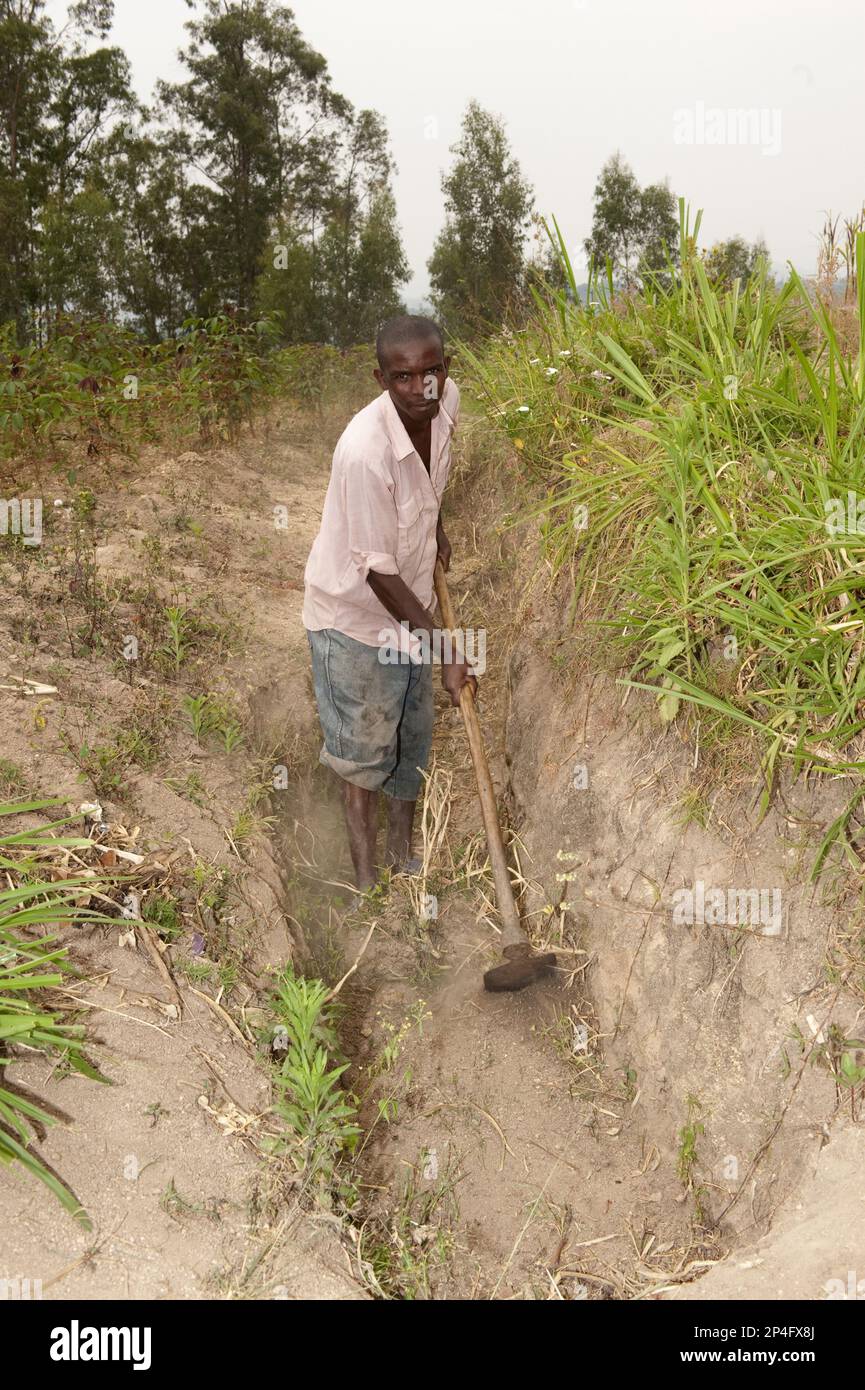 Farmers dig a ditch on the hillside to catch rainfall and prevent rapid ...