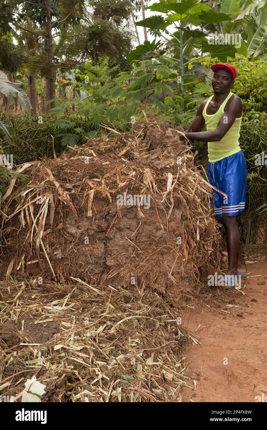 Farmer standing next to compost heap, Rwanda Stock Photo - Alamy
