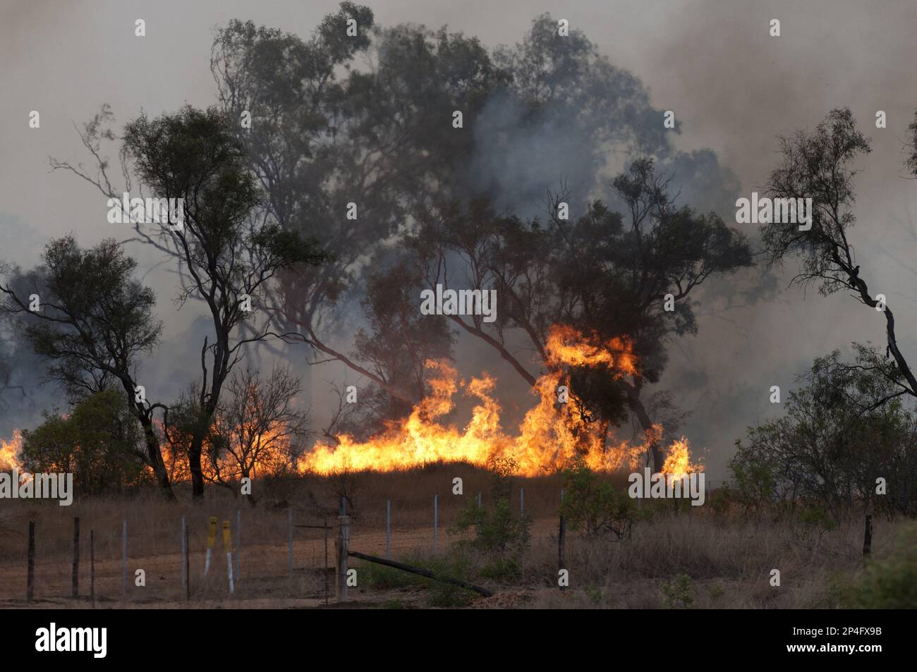 Flames of a burning bushfire, near Charters Towers, Queensland ...