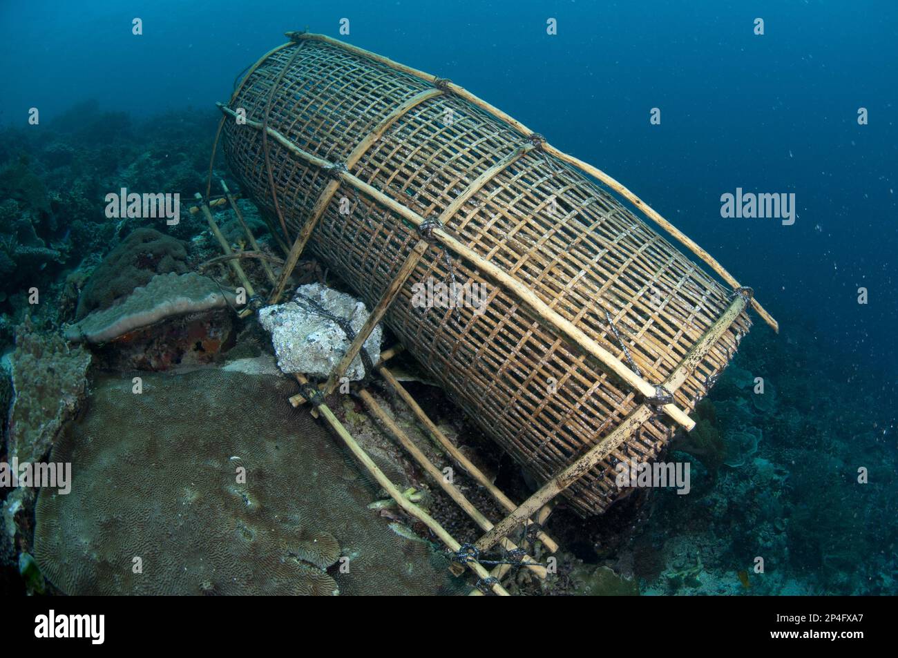 Fish trap on reef, Pantar Island, Alor Archipelago, Lesser Sunda ...