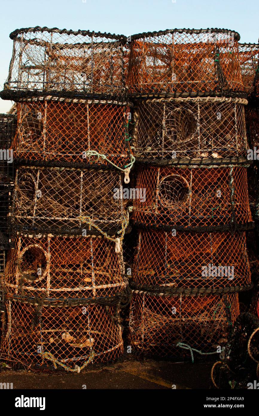 Squid pots hi-res stock photography and images - Alamy