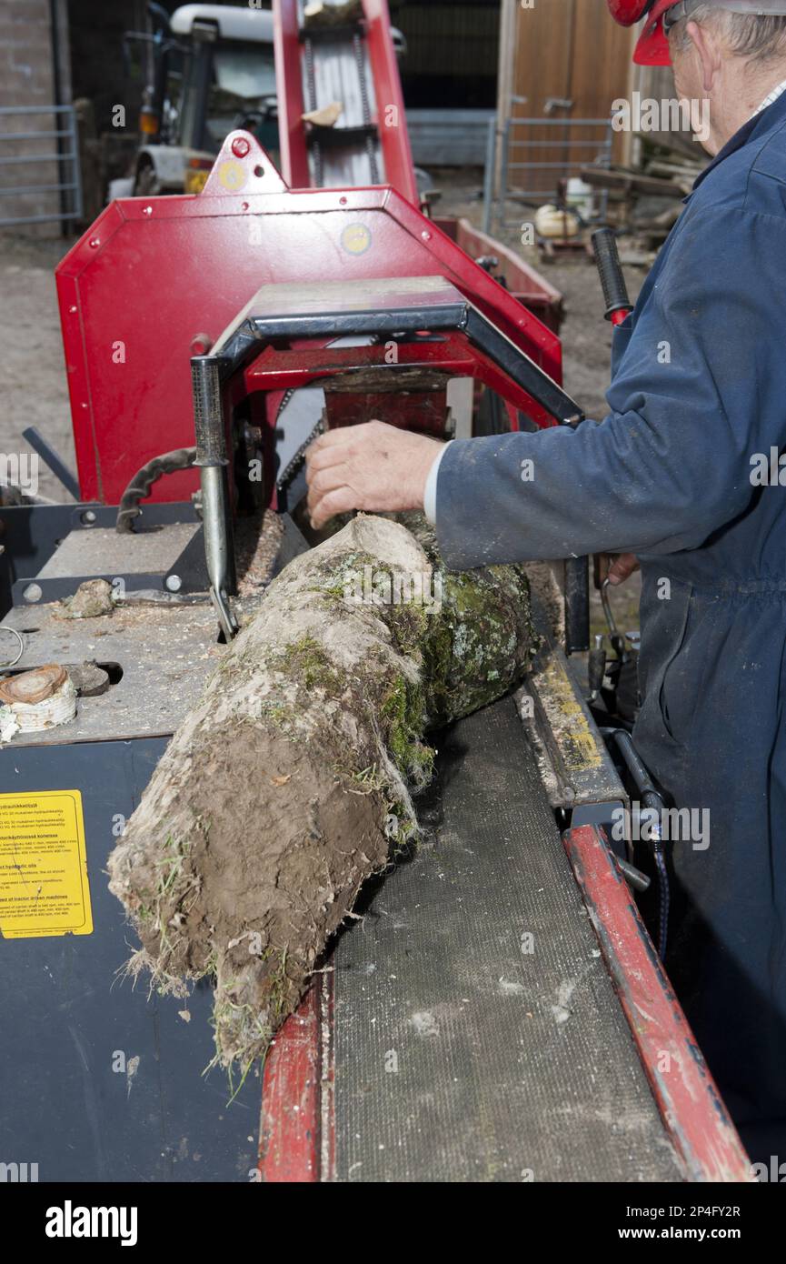 Forestry workers loading timber onto the logging and splitting bench ...