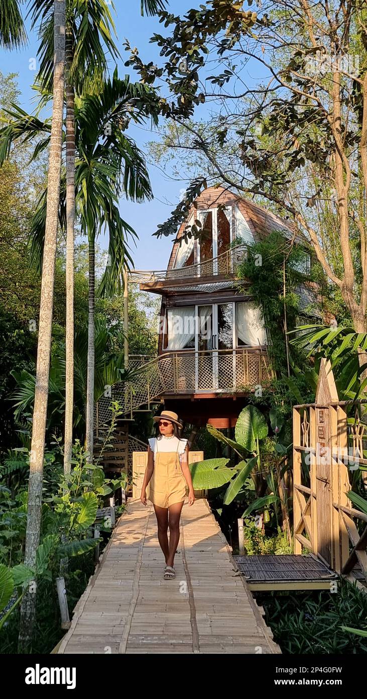 wooden cottage surrounded by palm trees and a vegetable garden in the ...