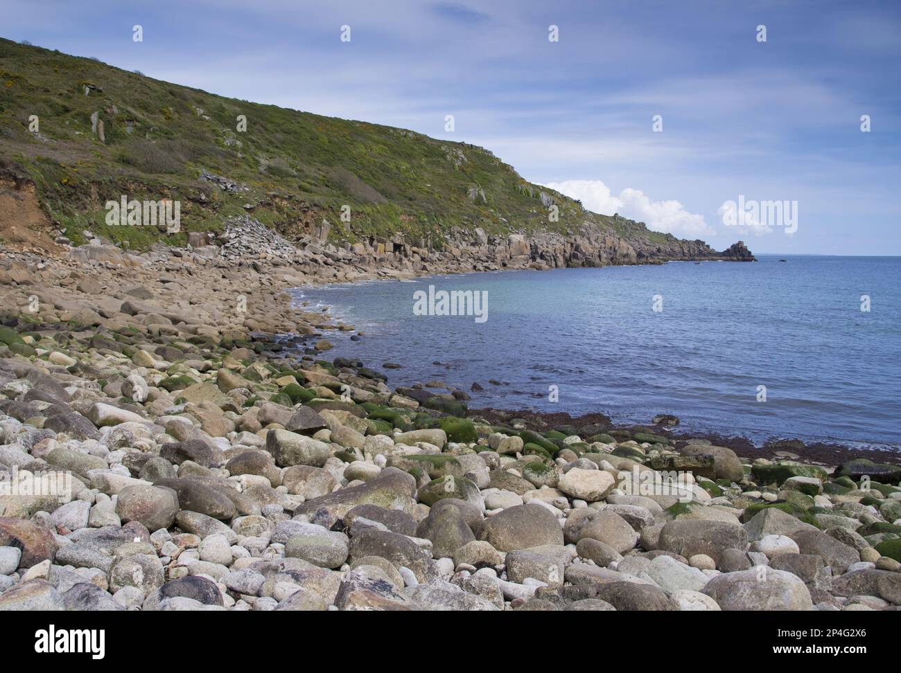 View of pebble beach and coastline, Lamorna Cove, Cornwall, England ...