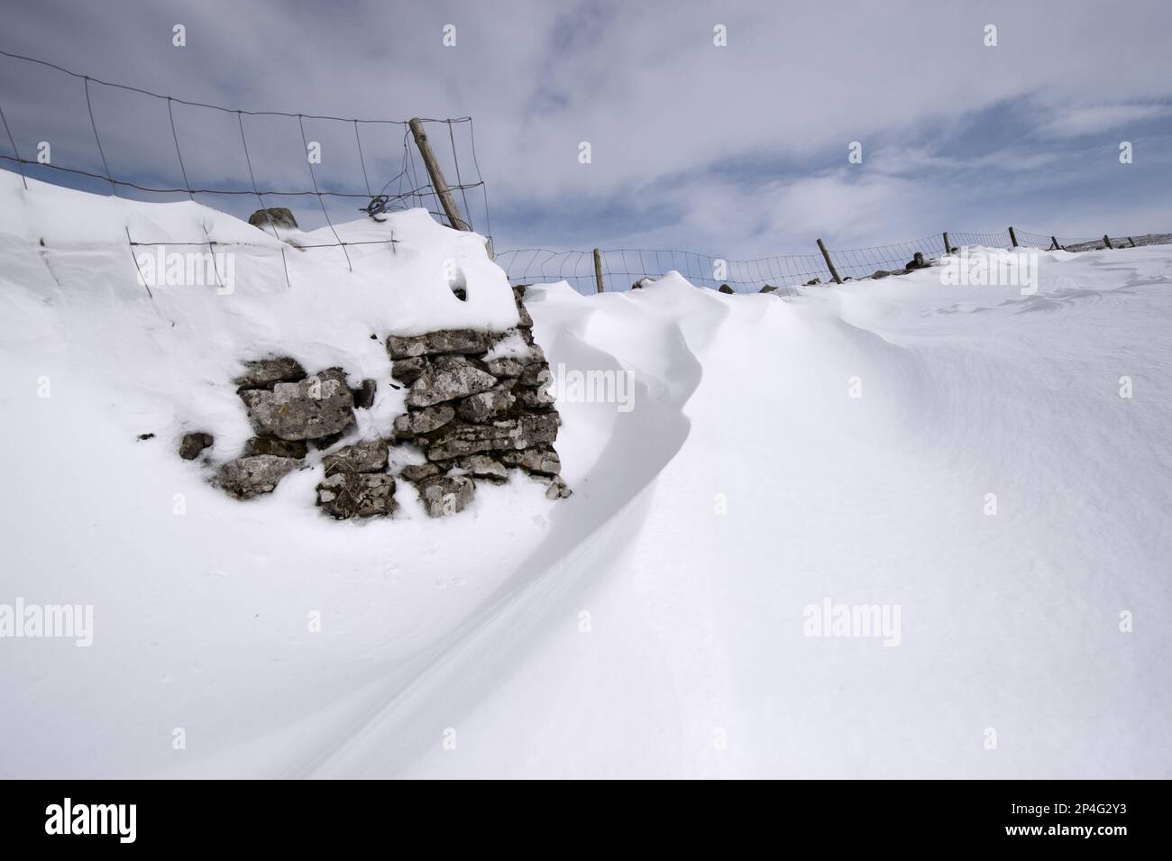 Wind-blown snowdrift on the back of a dry stone wall after a heavy ...