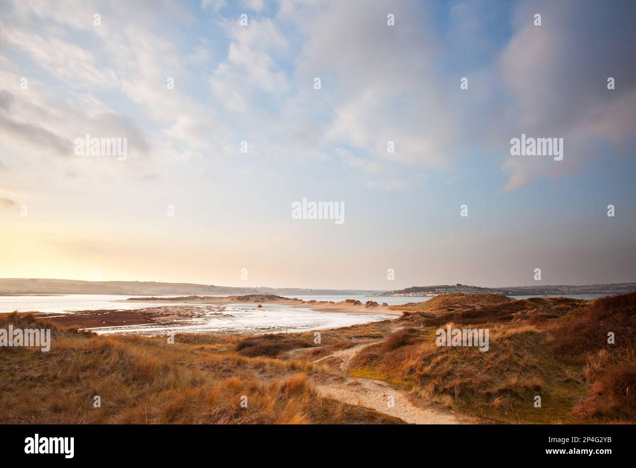 Appledore estuary view hi-res stock photography and images - Alamy