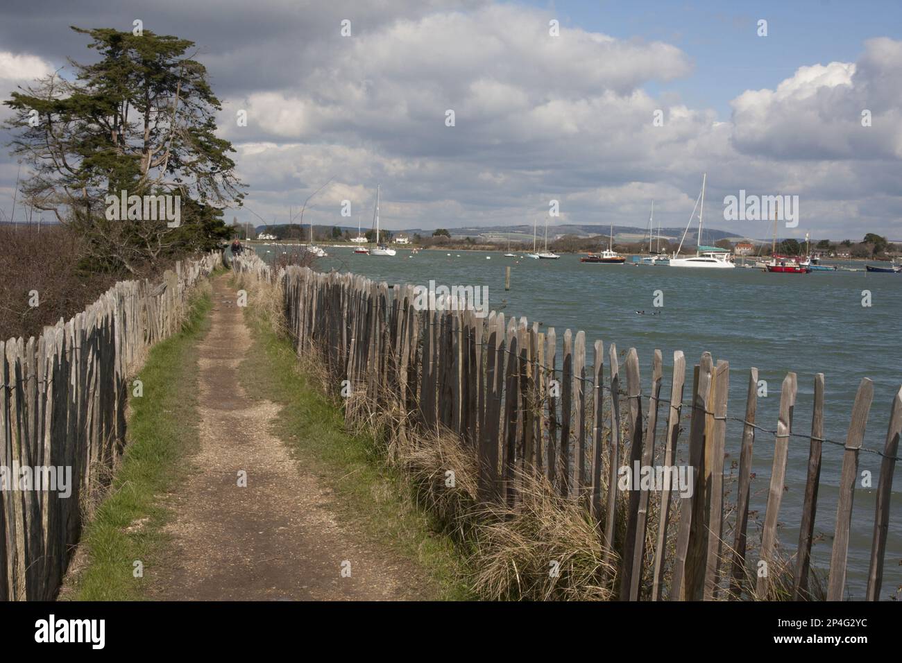 Coastal path from Itchenor to West Wittering, Manhood Peninsula, West ...