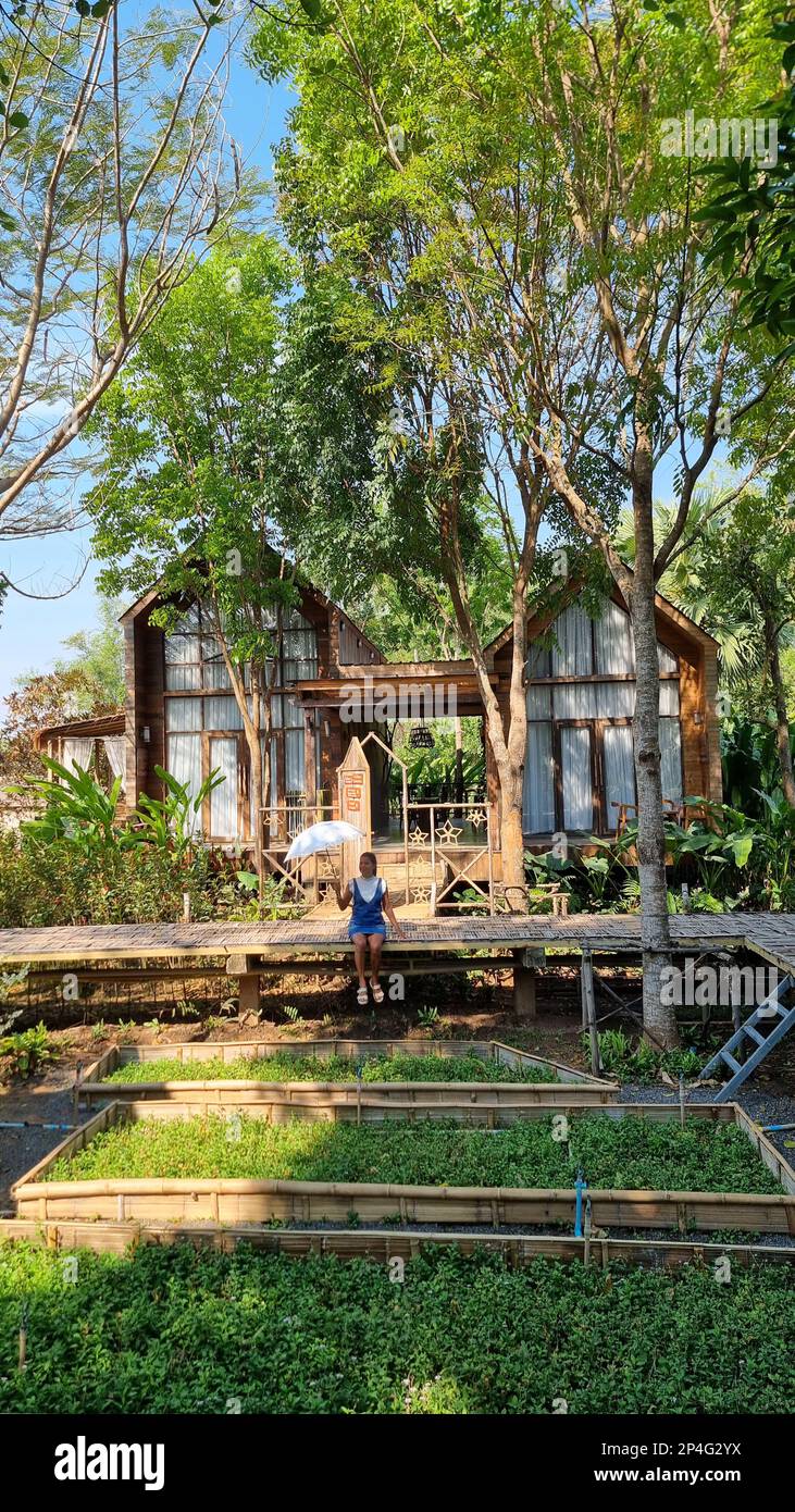 wooden cottage surrounded by palm trees and a vegetable garden in the ...