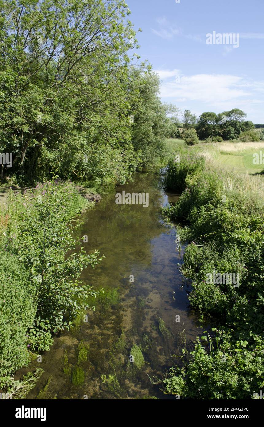 Chalk stream habitat, River Stiffkey, Norfolk, England, United Kingdom ...