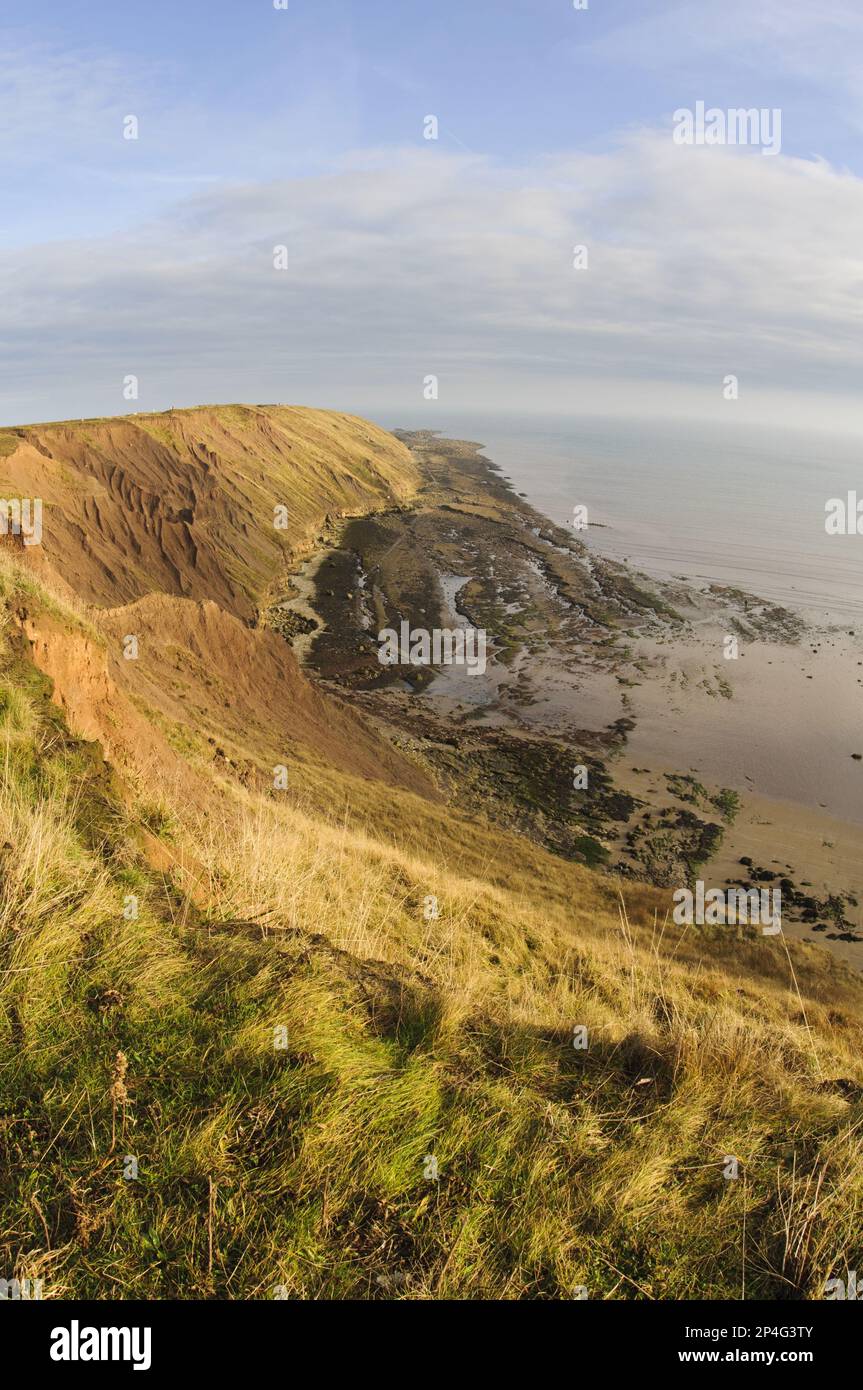 View of rocky coast, cliffs and sea, from the cliff top of Filey ...