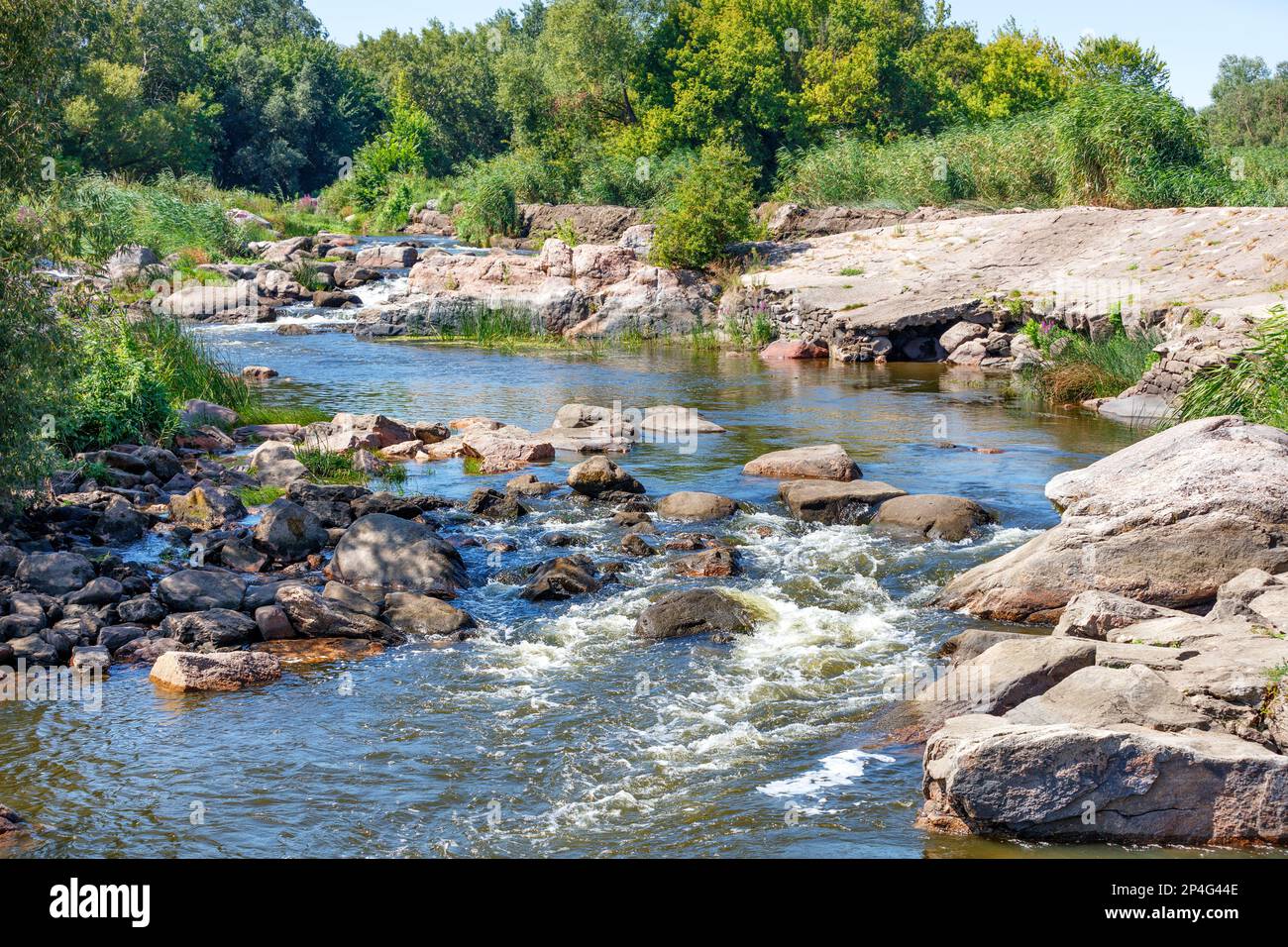 A swift stream of a forest stream flowing through rocky rapids along ...