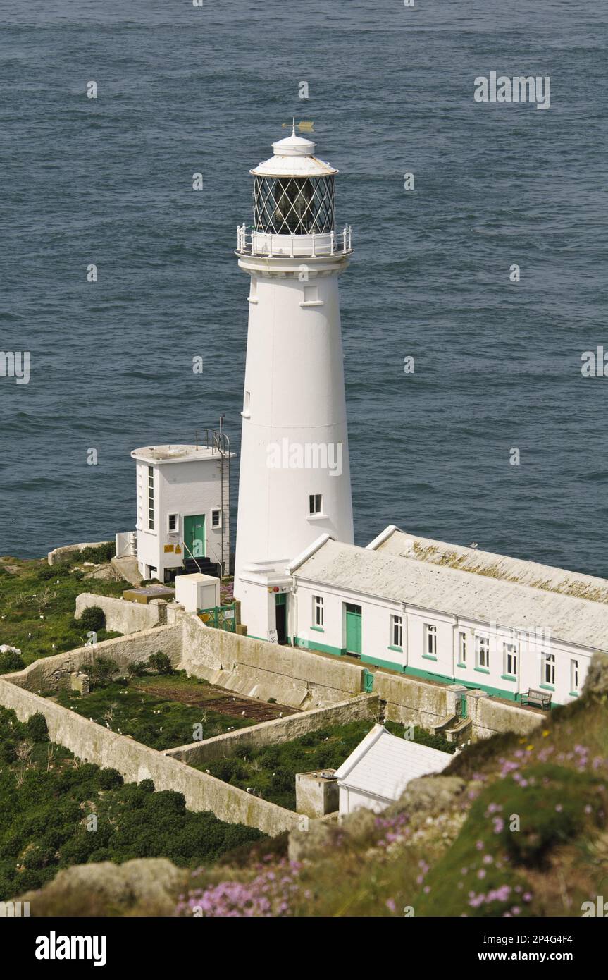 View of the lighthouse, Cliffs RSPB Reserve, Anglesey, Wales, June ...