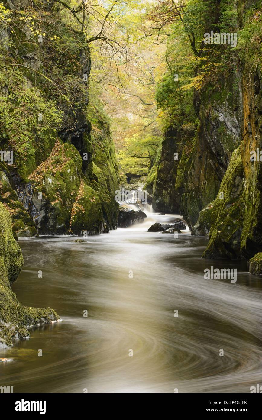 View of river flowing through gorge, Fairy Glen, River Conwy, Betws-y ...