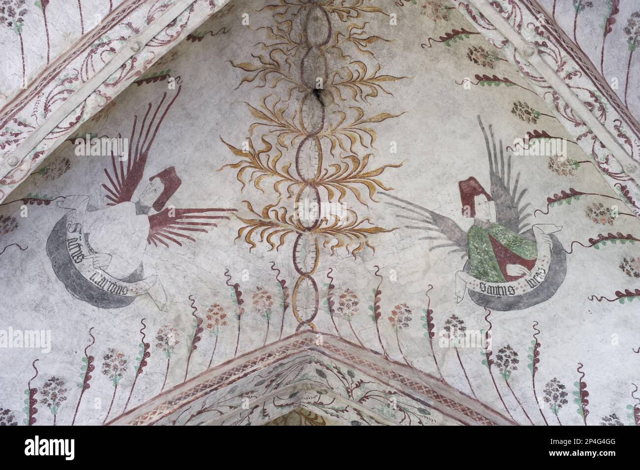 Paintings of saints on church ceiling, Tierp, Uppsala County, Uppland ...