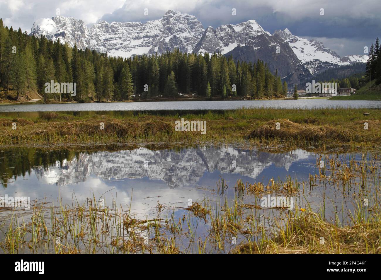 View of mountain lake habitat, Lago di Misurina, Dolomites, Italian ...