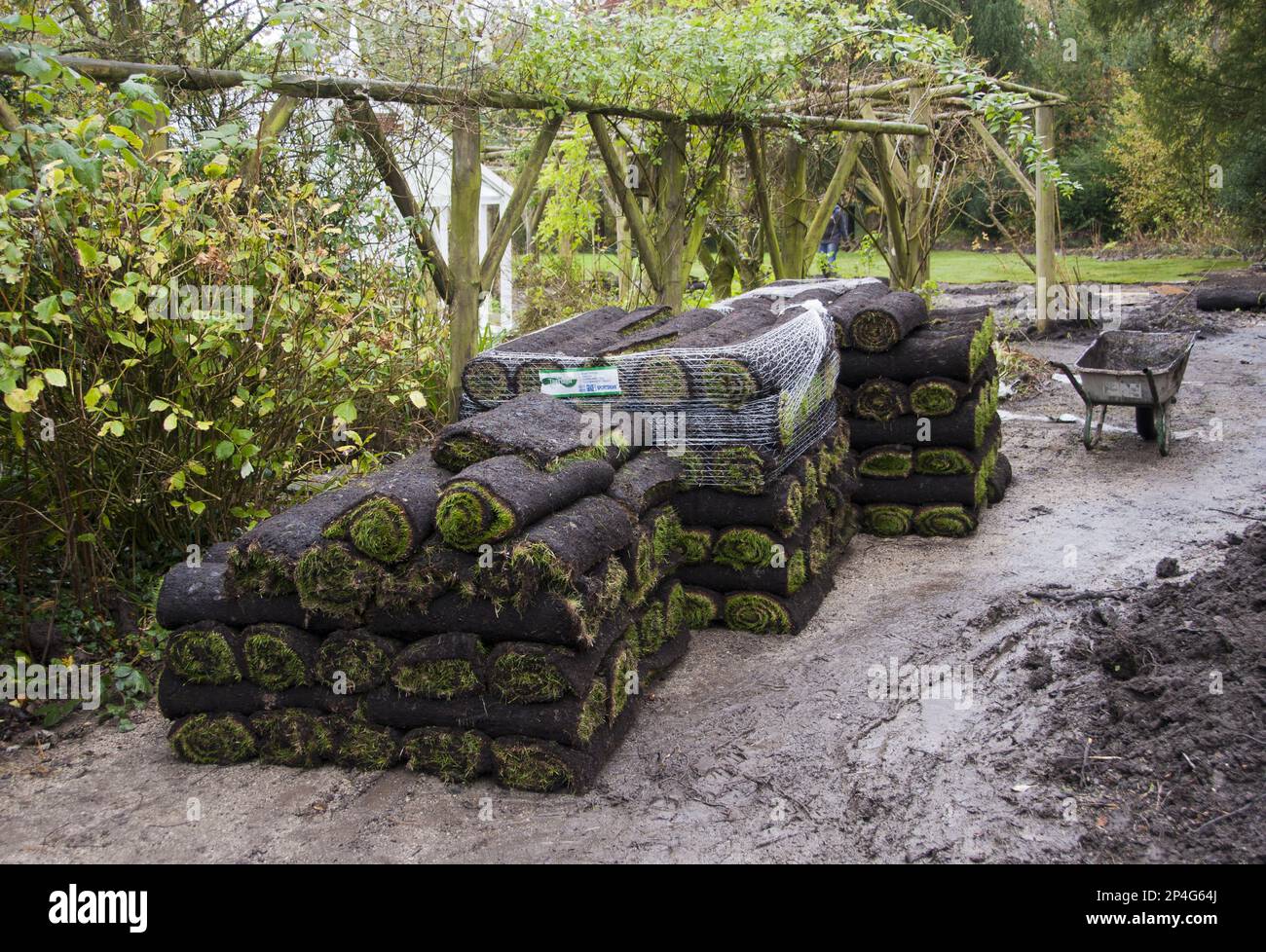 Rolls of lawn turf for laying in garden, England, United Kingdom Stock ...
