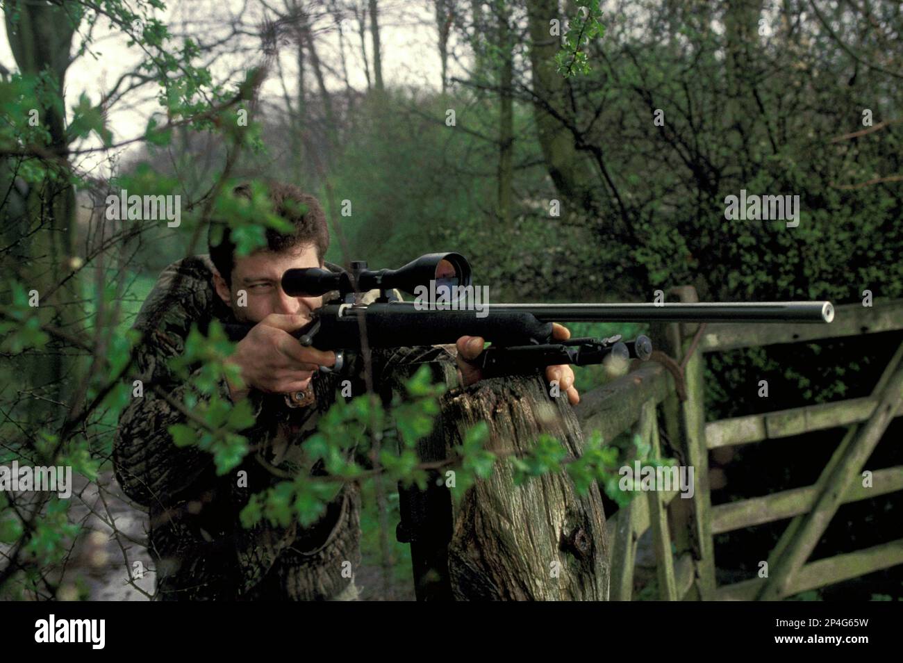 Hunting, man with 222, 50 rifle, for killing vermin, leaning on fence ...