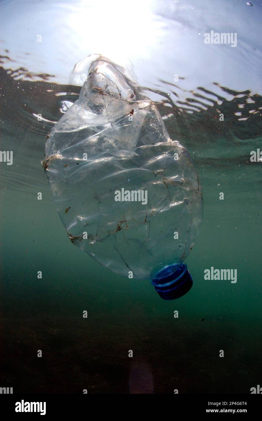 Plastic bottle drifting underwater in sea, Brandy Bay, Dorset, England ...