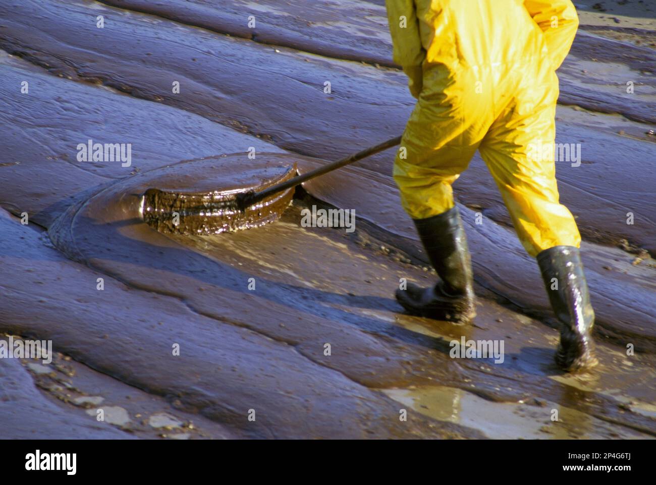 Removal of crude oil from the beach, after the Sea Empress disaster ...