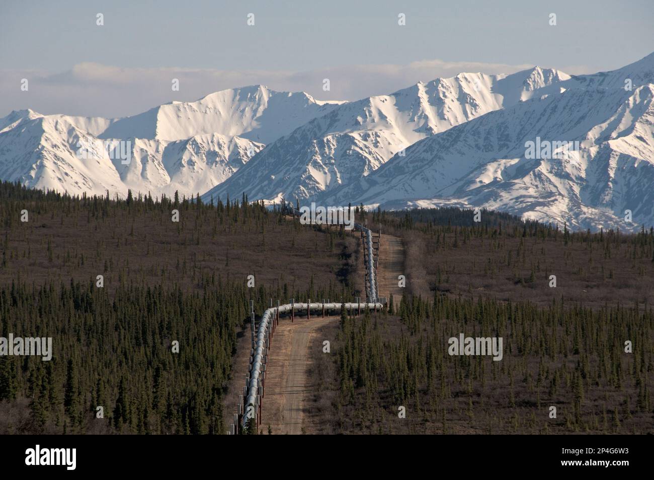 Oil pipeline crossing taiga habitat, Alaska Oil Pipeline, near Delta ...