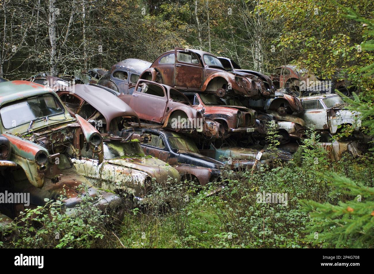 Piles of scrap cars in the forest, Sweden Stock Photo - Alamy