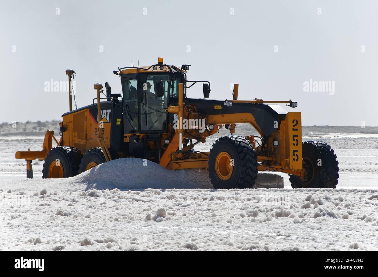 Guerrero verde hi-res stock photography and images - Alamy