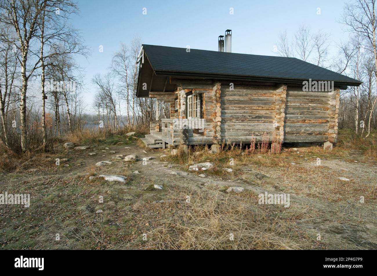 Log cabin in boreal forest, Lapland, Northwest Finland Stock Photo - Alamy