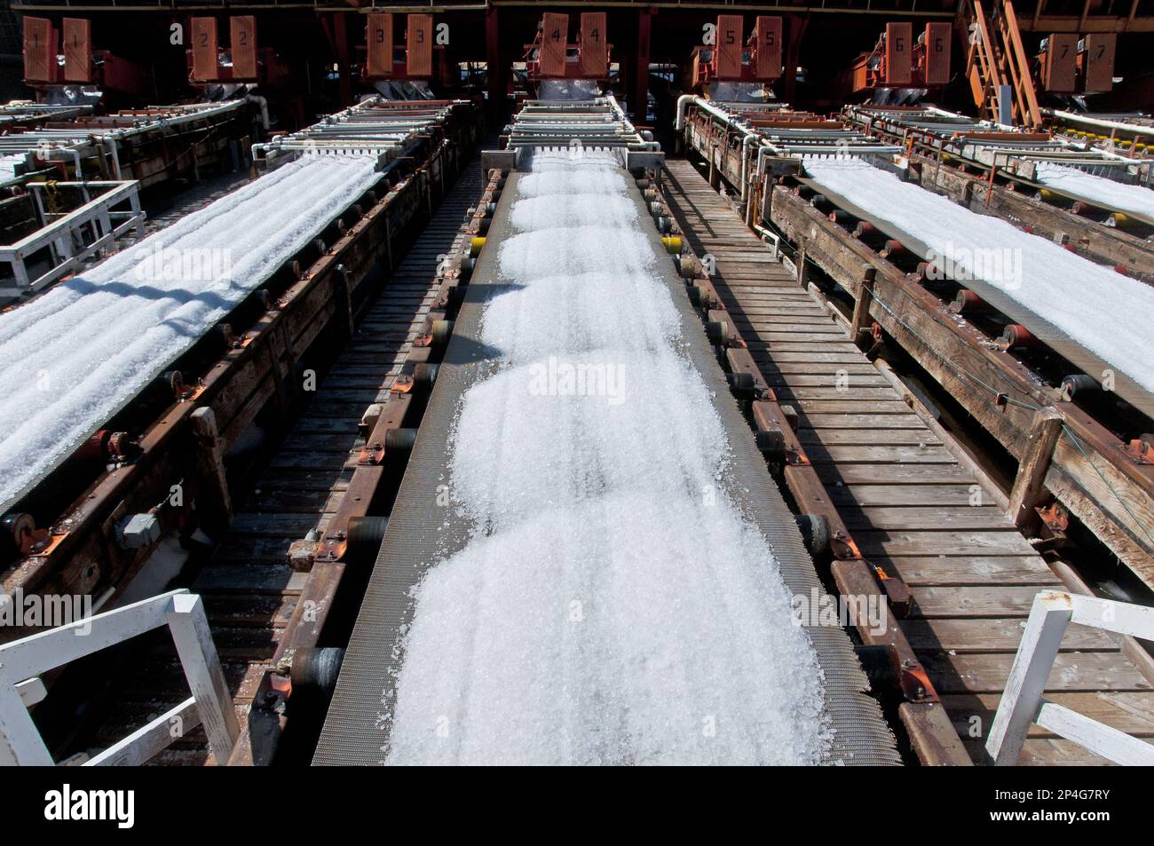 Commercial salt production, salt on conveyor belts, Exportadora de Sal ...